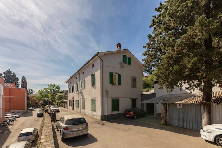 Studio Gea | - Koper