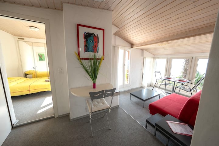 Finestra Sul Lago Di Lugano - Lugano