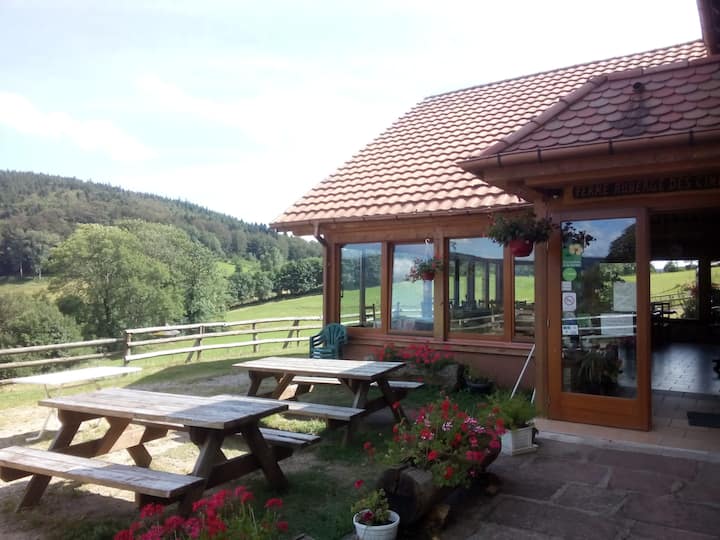 Chambre D'hôtes (N°2) - Le Hohwald
