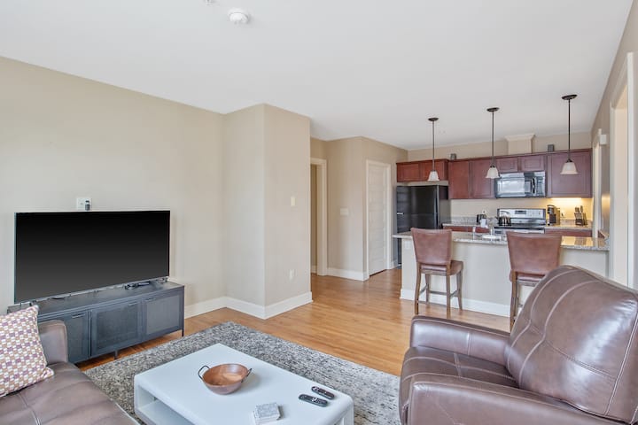 Luxe 2bd/2ba Suite In Historic Mansion 5 Min To Su - Syracuse, NY