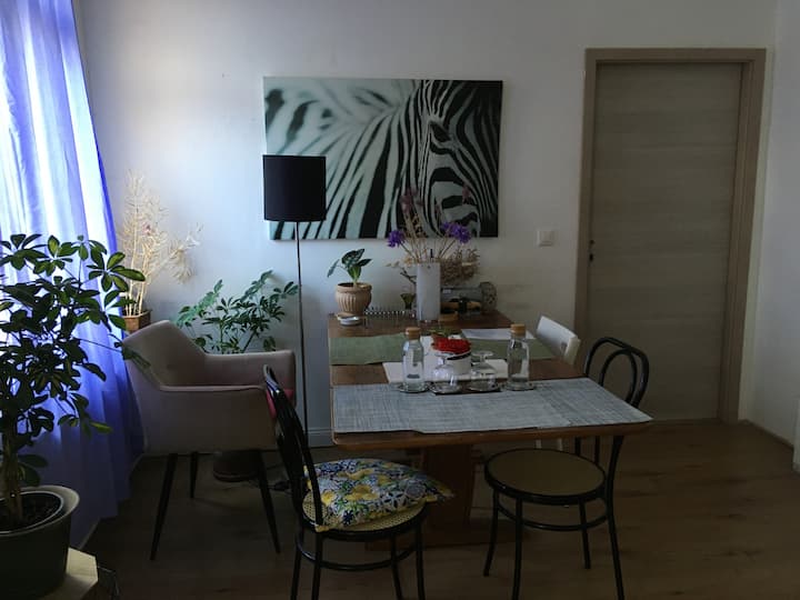 Beautiful House, Central City - Zürich