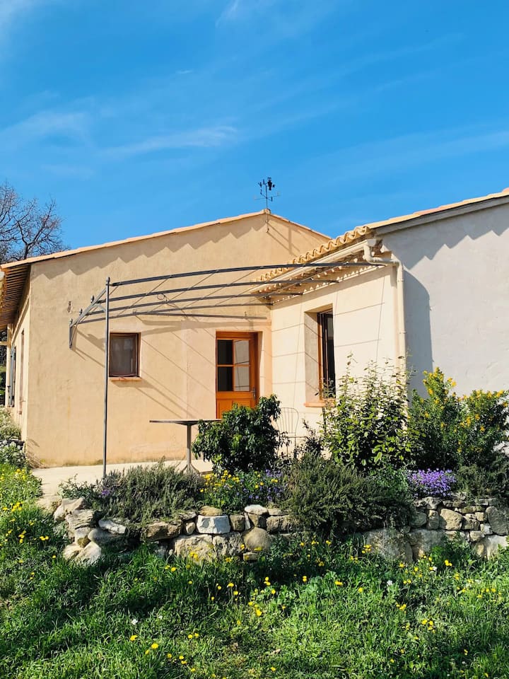Petit Gîte Au Pied Du Mont Ventoux - Malaucène