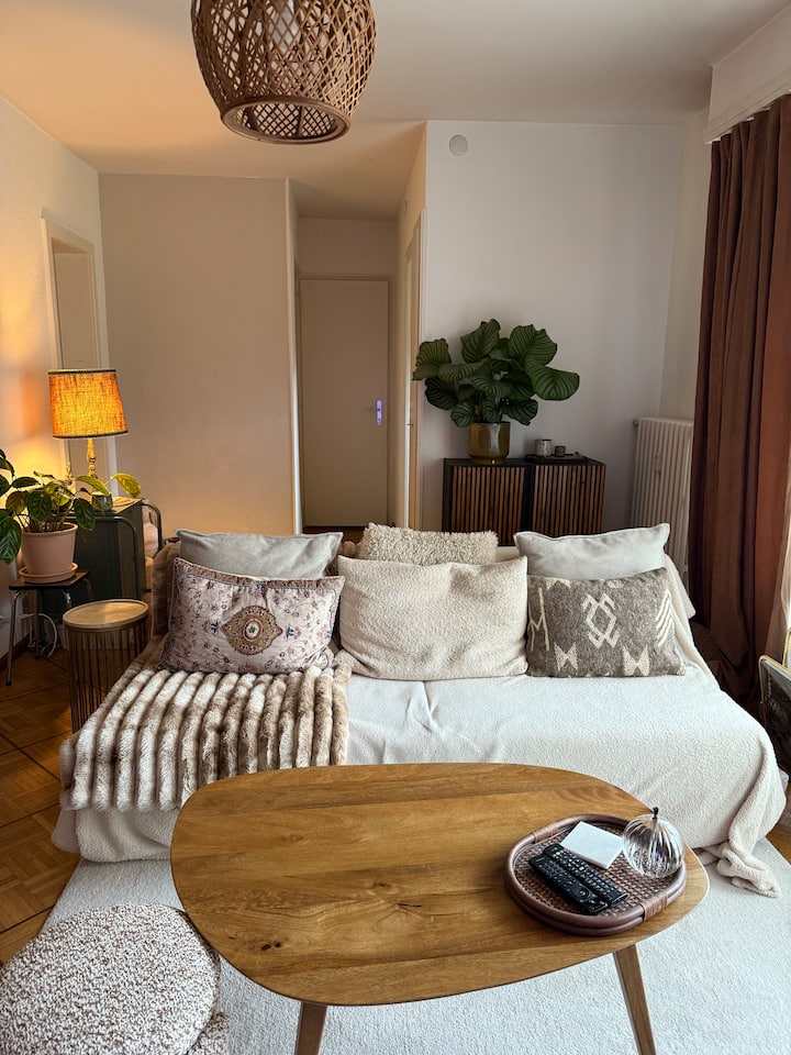Charmant 2,5 Pièces Cosy - Lausanne