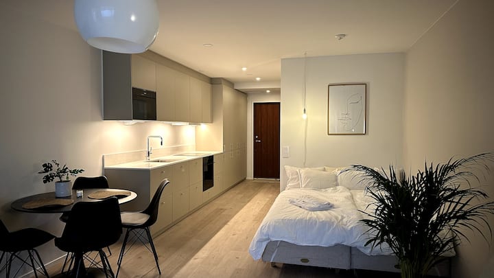 Private Sauna, Gas Grill, Yard And Hotel Bed - Vantaa