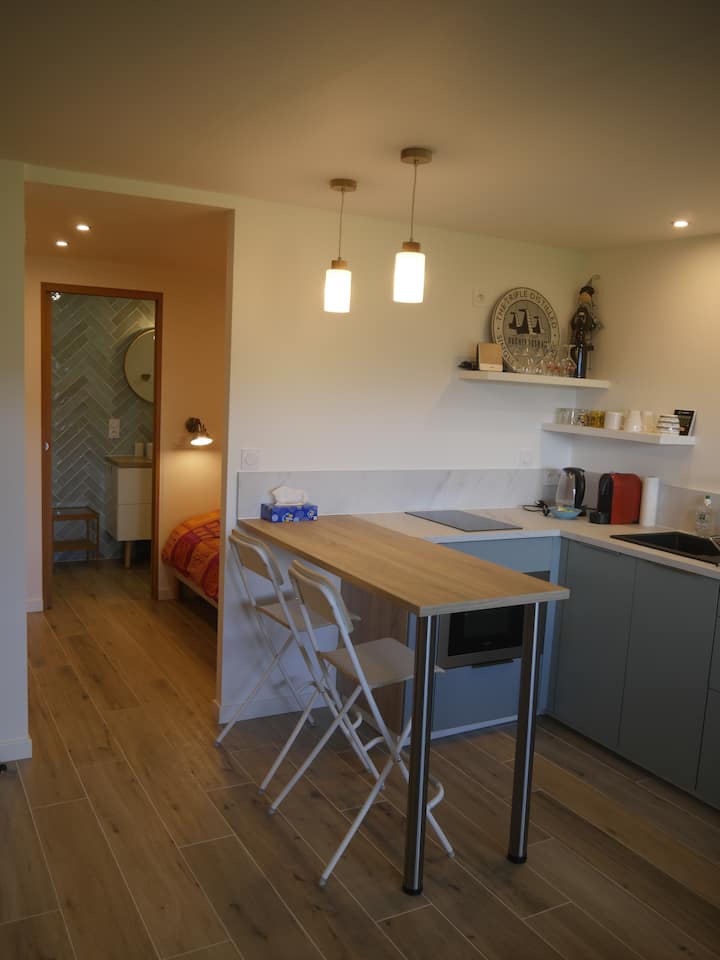 Studio Entre Lac Et Montagnes - Talloires-Montmin