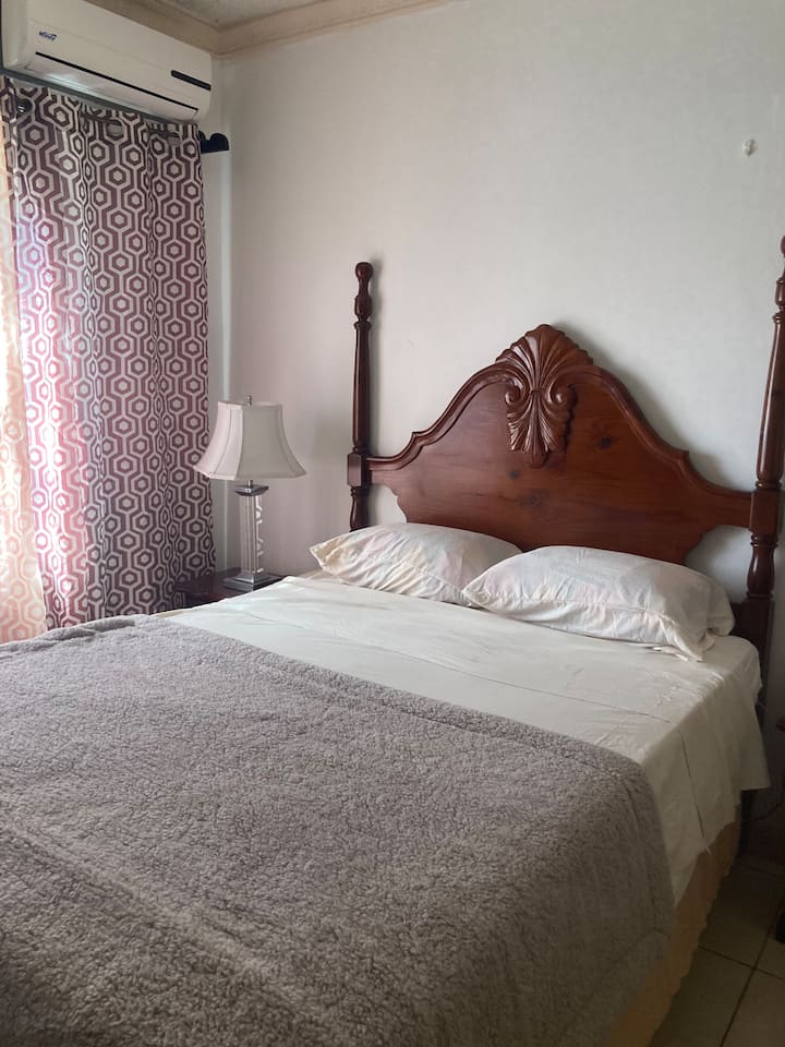A Lovely Place - 1 Bedroom Condo Apartment - Kingston, Jamaica