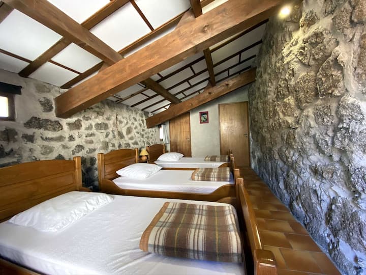 Chambre D'hôtes - Merisier - Mont Aigoual