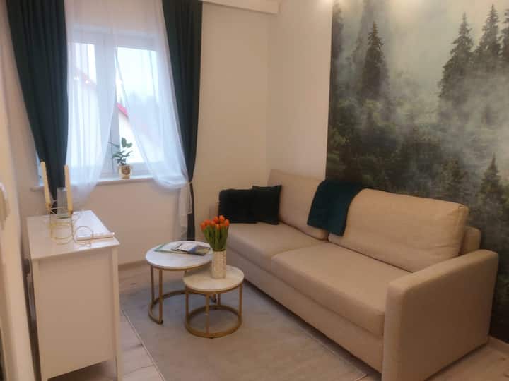 Apartament Górskie Zacisze - Szklarska Poręba