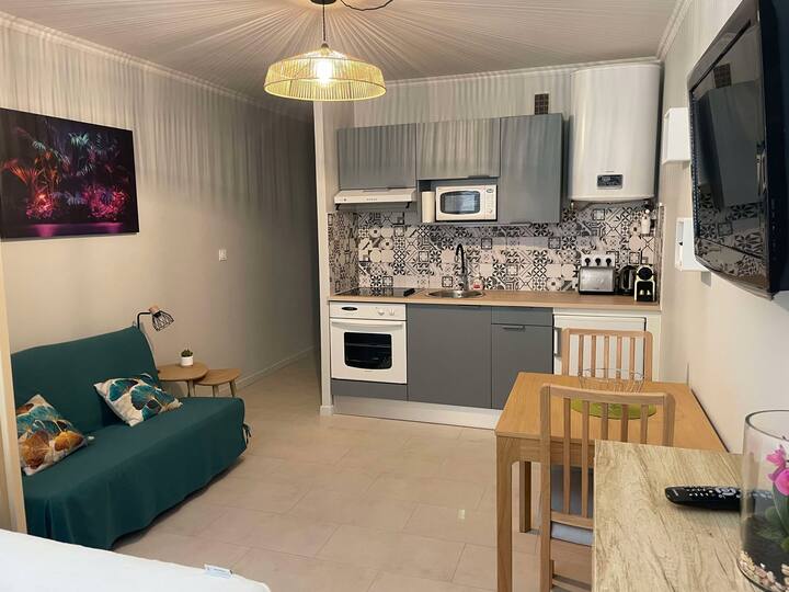 Studio 25m² Centre Ville Idéal Cure - Balaruc-les-Bains