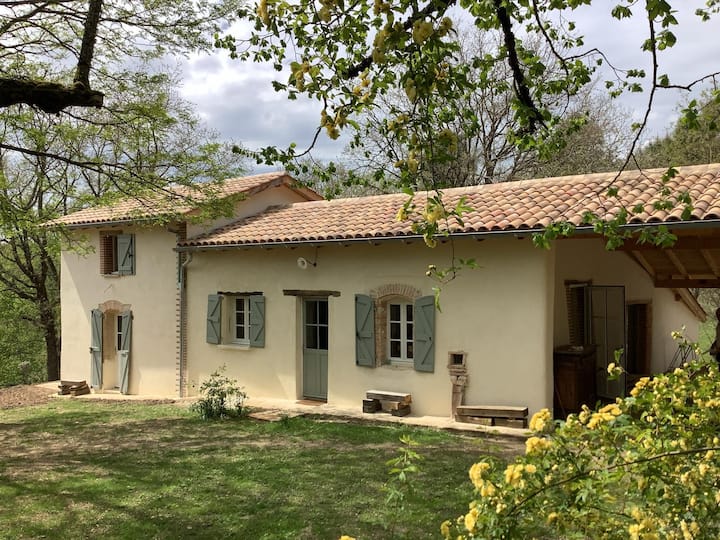 Gite De Charme Dans Les Vignes - Gaillac