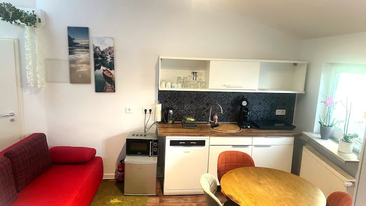 Bina Apartment Im Erdgeschoß - Trier