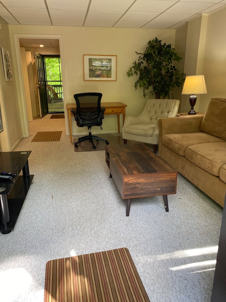 Cozy One Bedroom Near Unc/duke - Chapel Hill, NC