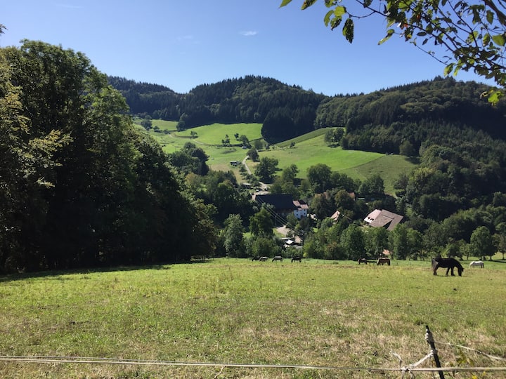 ÖKologisch Gebautes Tinyhaus - Freiburg im Breisgau