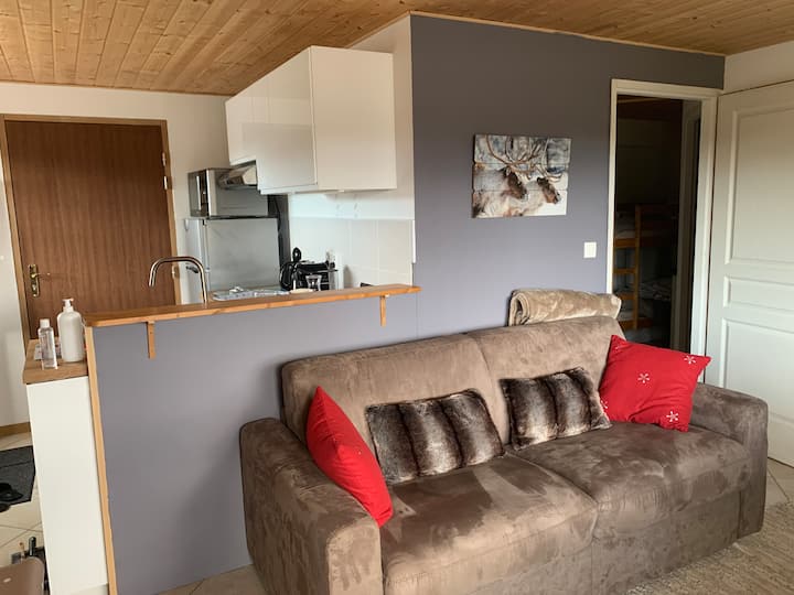 Appartement Chaleureux à Lajoux, 4 Pers. - Gex