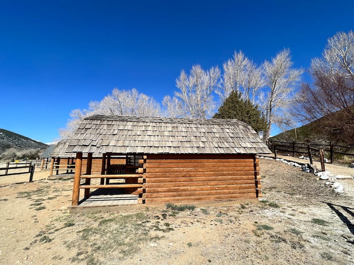 Electric Cabin - Monarch, CO