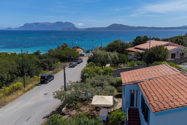 Villa Chiara: Mare E Giardino - Golfo Aranci