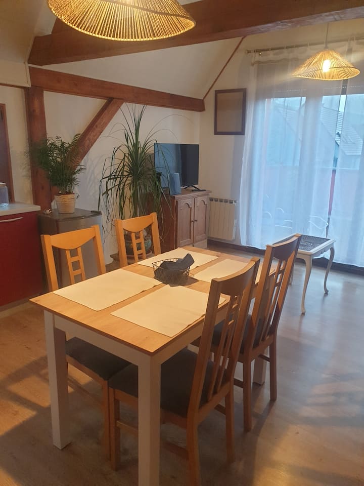 Chez Marie-rose, Appartement. - Mutzig