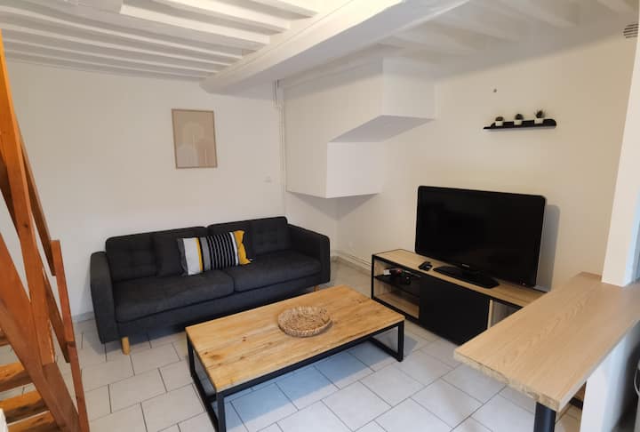 Duplex 2 - Proche Du Jardin Des Plantes - Sotteville-lès-Rouen