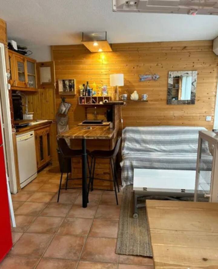 Appartement Ski Au Pied Puy-saint-vincent - Vallouise, France