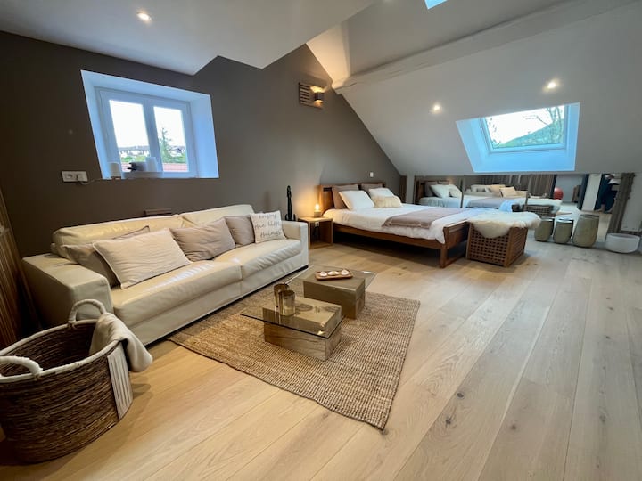 Magnifique Chambre En Suite - Annecy