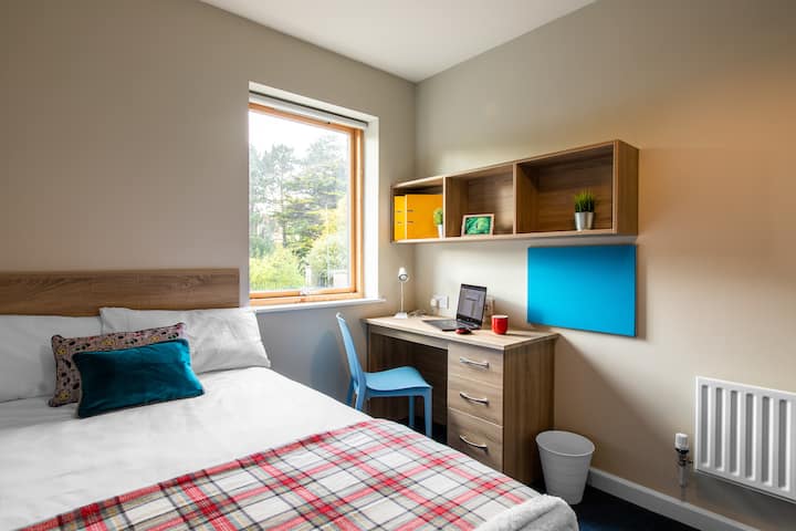 Private Room • Free Parking • Near City Centre - Dun Laoghaire