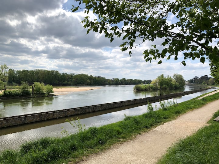 éCrin De Verdure Sur La Loire ! - Saint-Jean-de-Braye