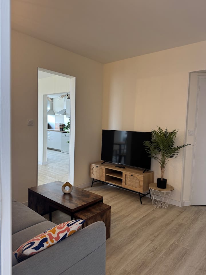 Appt Ideal Groupes, Prox Eurexpo - Saint-Priest