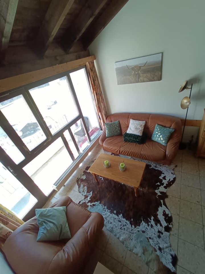 Wohnung Im Retro-stil - Bettmeralp