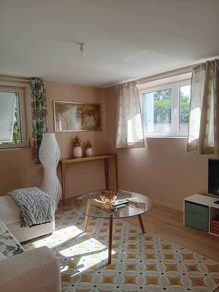 Apparemment T2 /Grande Terrasse - Espalion
