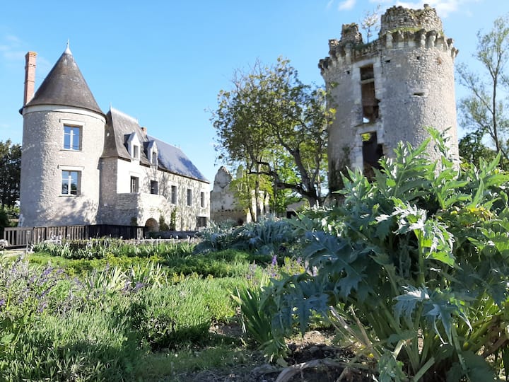 Gite Château De Fontenay - Loches