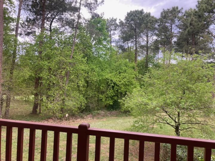 Appartement Golf, Pin Et Plage - Sanguinet