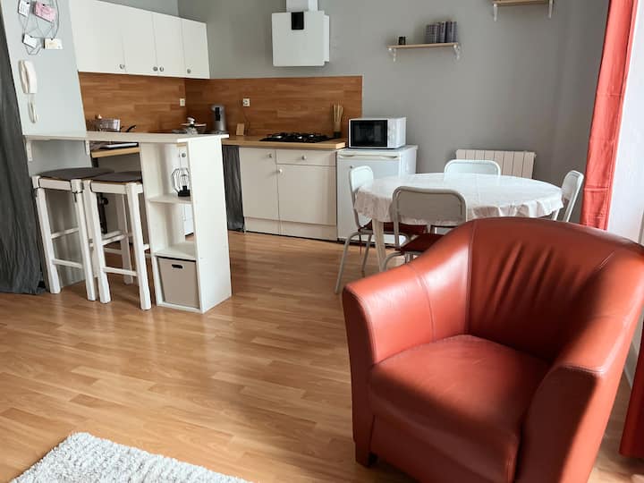 Studio Pratique En Centre Ville - Lozère