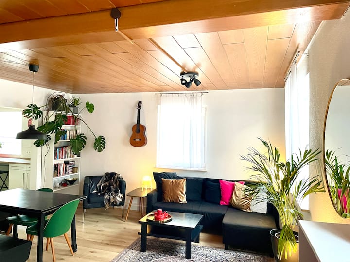 Serviced Apartment In Marbach - Marbach am Neckar