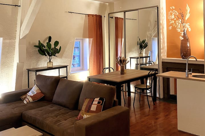 Loft - Centre-ville - Beaujolais - Hotel ibis budget Lyon Villefranche sur Saône