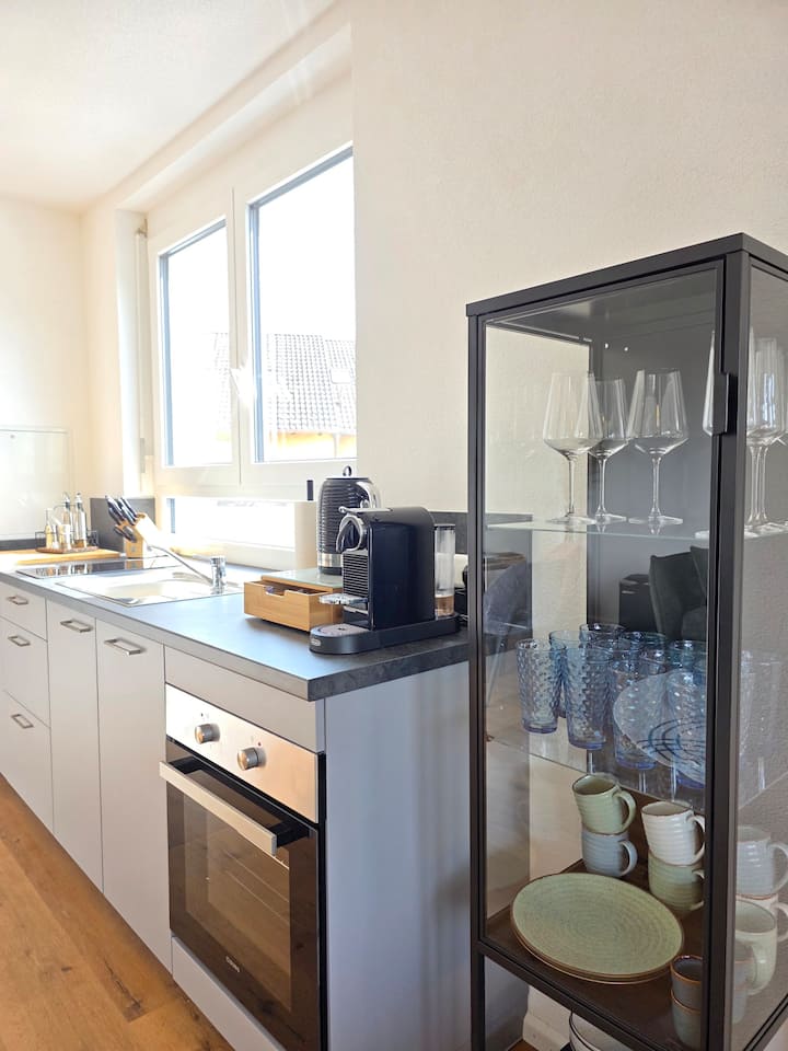 Neu I Haus Mit 3 Apartments - Bâle