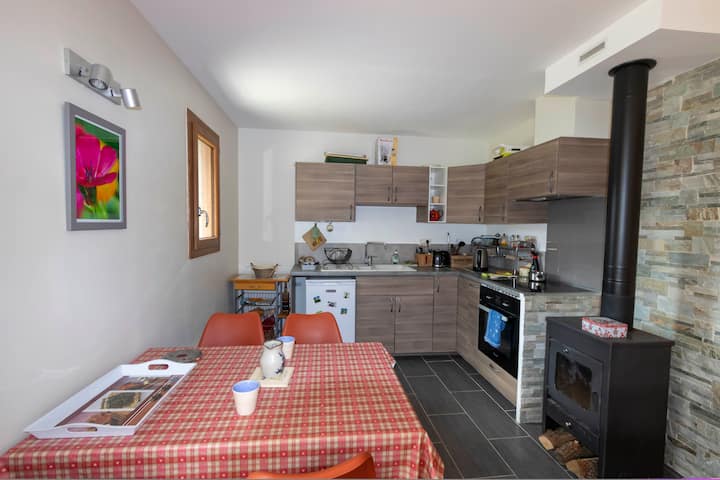 Appartement Dans Un Chalet - Seyne
