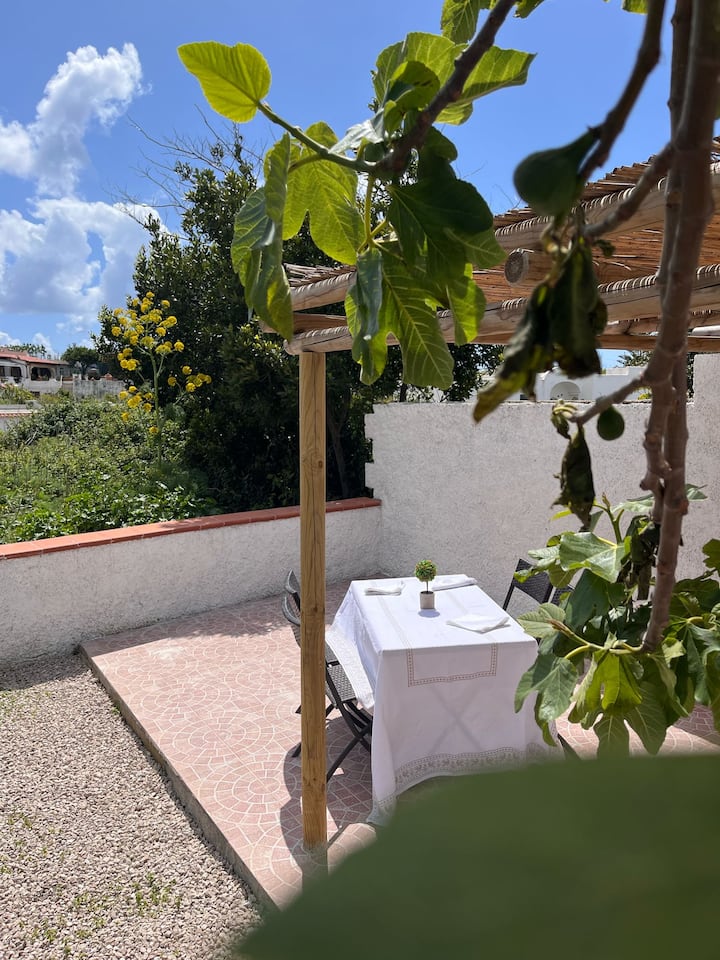 Casa Carlotta - Cozy Apartment - Forio