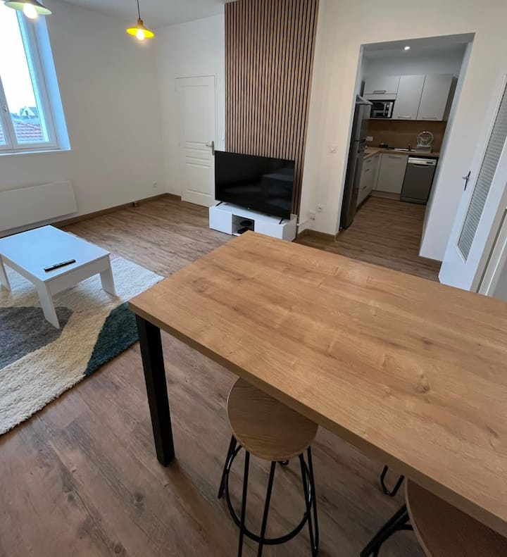 Joli Appartement Côté Gare. - Clermont-Ferrand