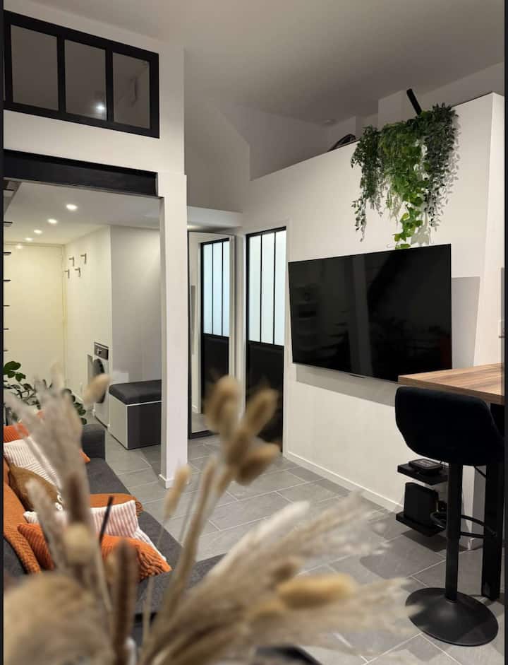 Appartement Plein Centre - Nantes