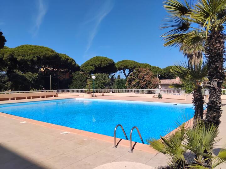 Studio Hyères Port Et îLes D'or - Hyères