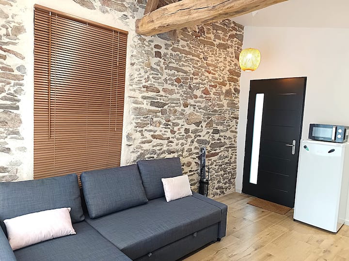 Studio Avec Terrasse Privative ! - La Chapelle-sur-Erdre