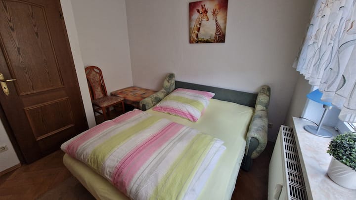 Zentrumsnahe Wohnung (700m) - Zwickau