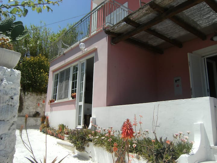 Glicine - Ponza