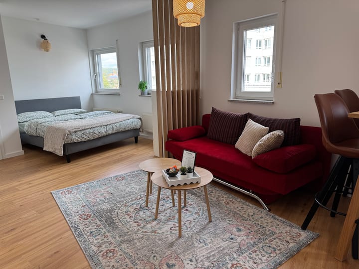 1 Zimmer Apartment Zentrale Lage - Erlangen