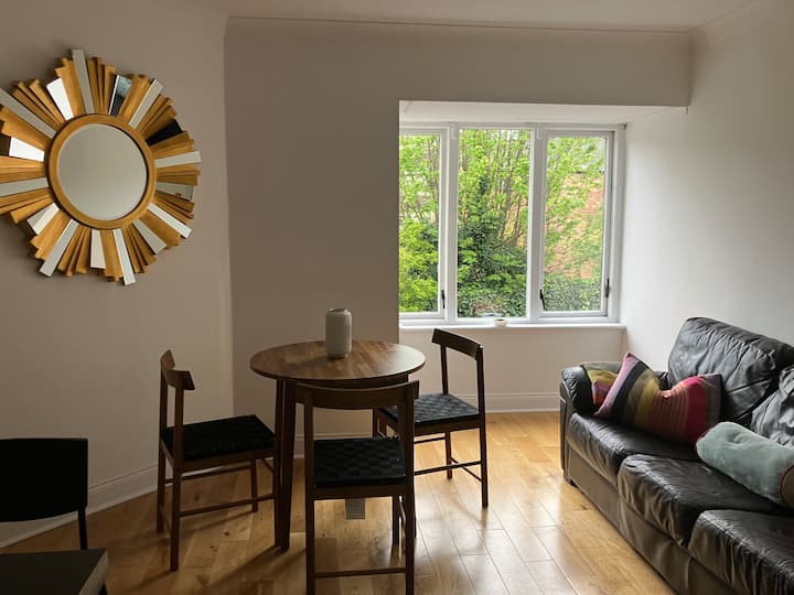 Bright Secluded Townhouse - Dublin