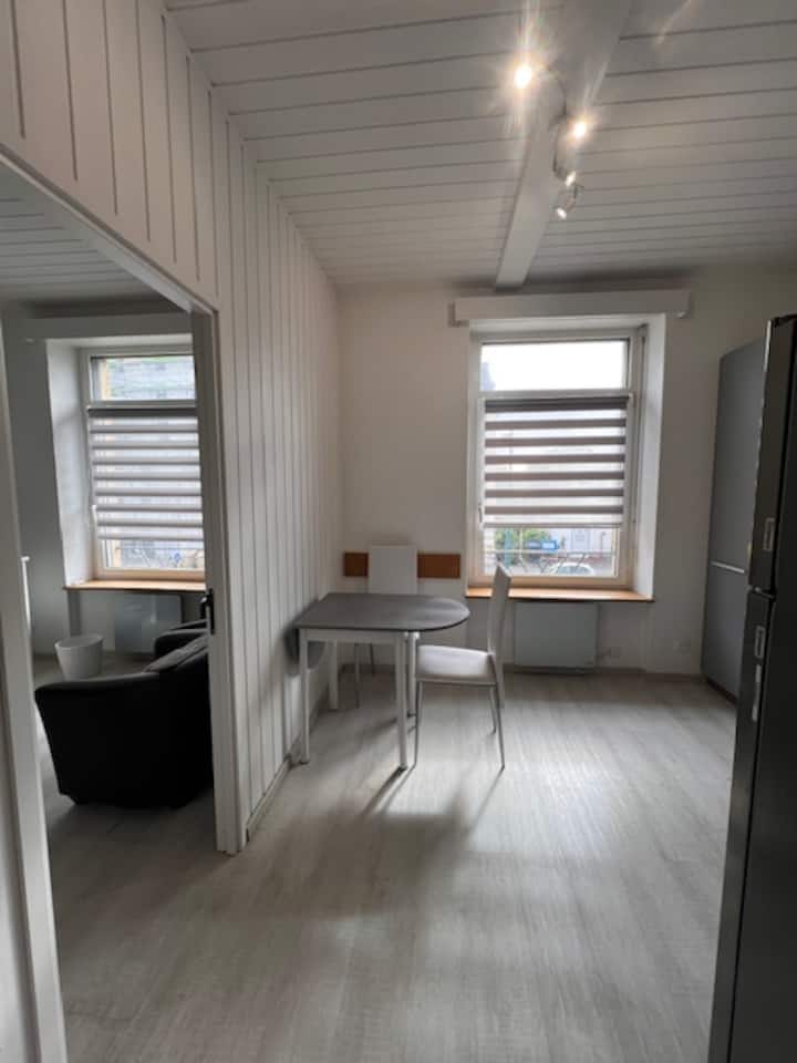 T1 Cosy & Meublé, Loué Au Mois - Basel