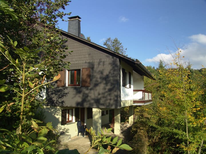 Ferienhaus Südlage Rothaarsteig - Winterberg