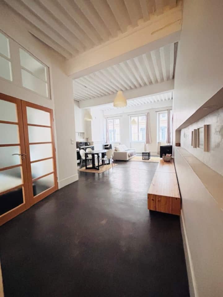 Appartement Au Centre De Lyon - Parc de Gerland - Lyon