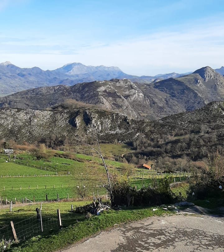 Casa Vete Polo Segau En Seguencu - Cangas de Onís