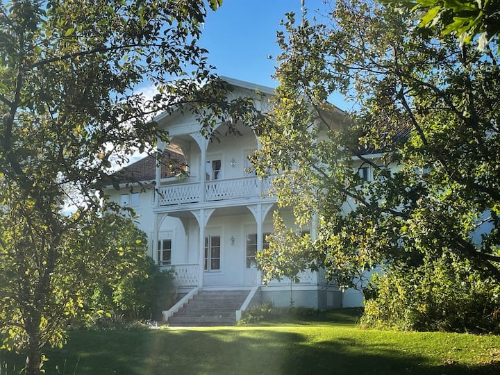 Stilfull Våning I Villa Fr 1881 - Östersund